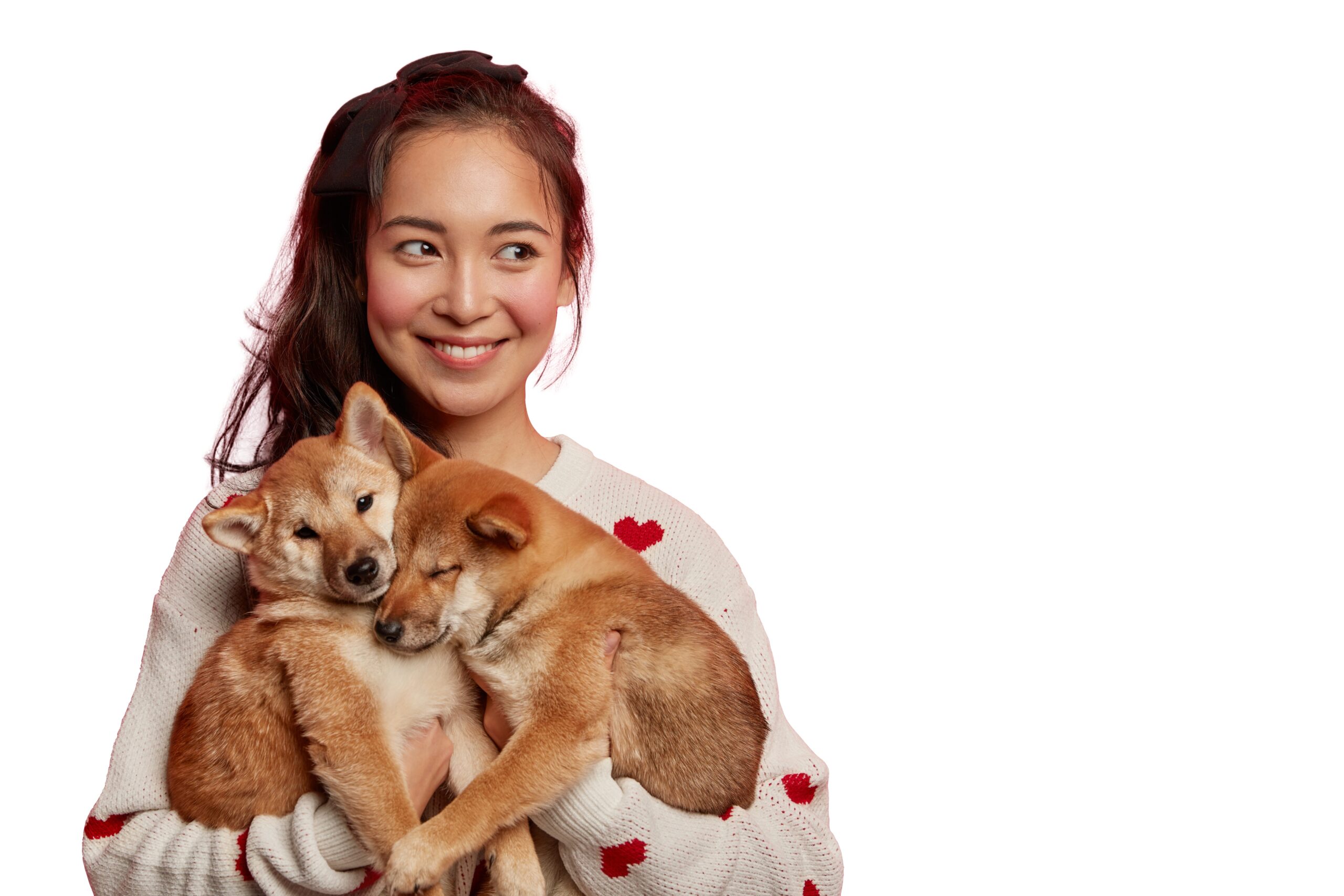 7 Benefits of Having a Dog